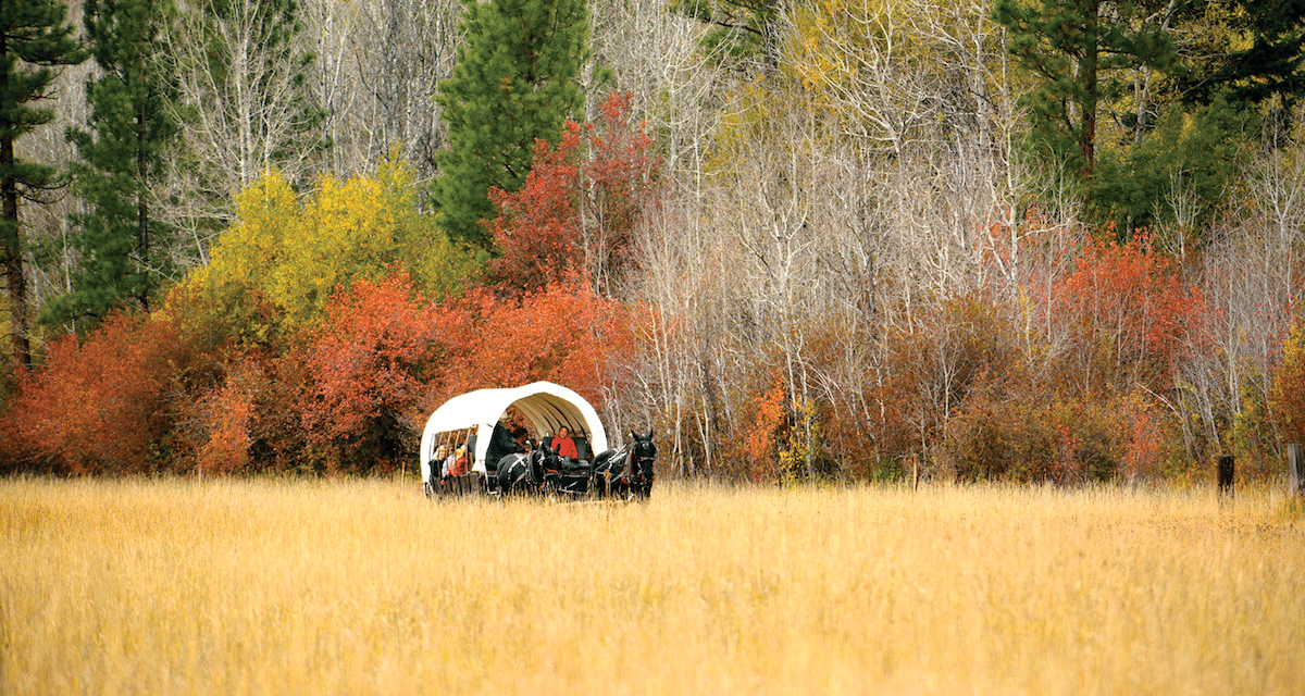 Fall Travel Deals - Luxe for Less • The Naptime Reviewer