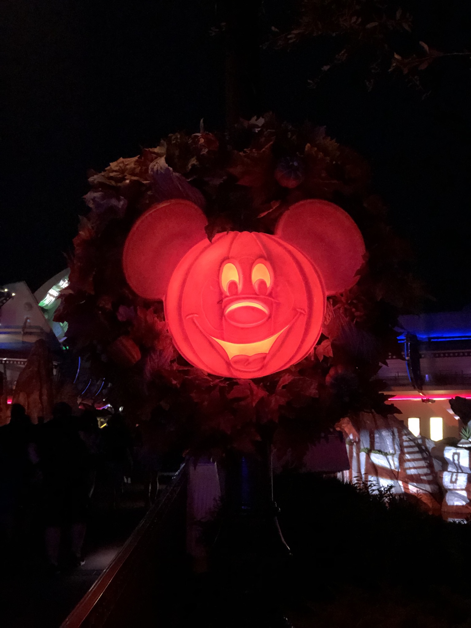 Disney World: MNSSHP Costume Ideas + A Guide for Adults