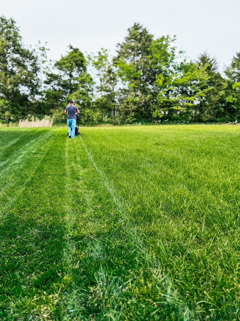 Backyard Ready for Summer with Toro 60V Max Stripe Mower • The Naptime ...