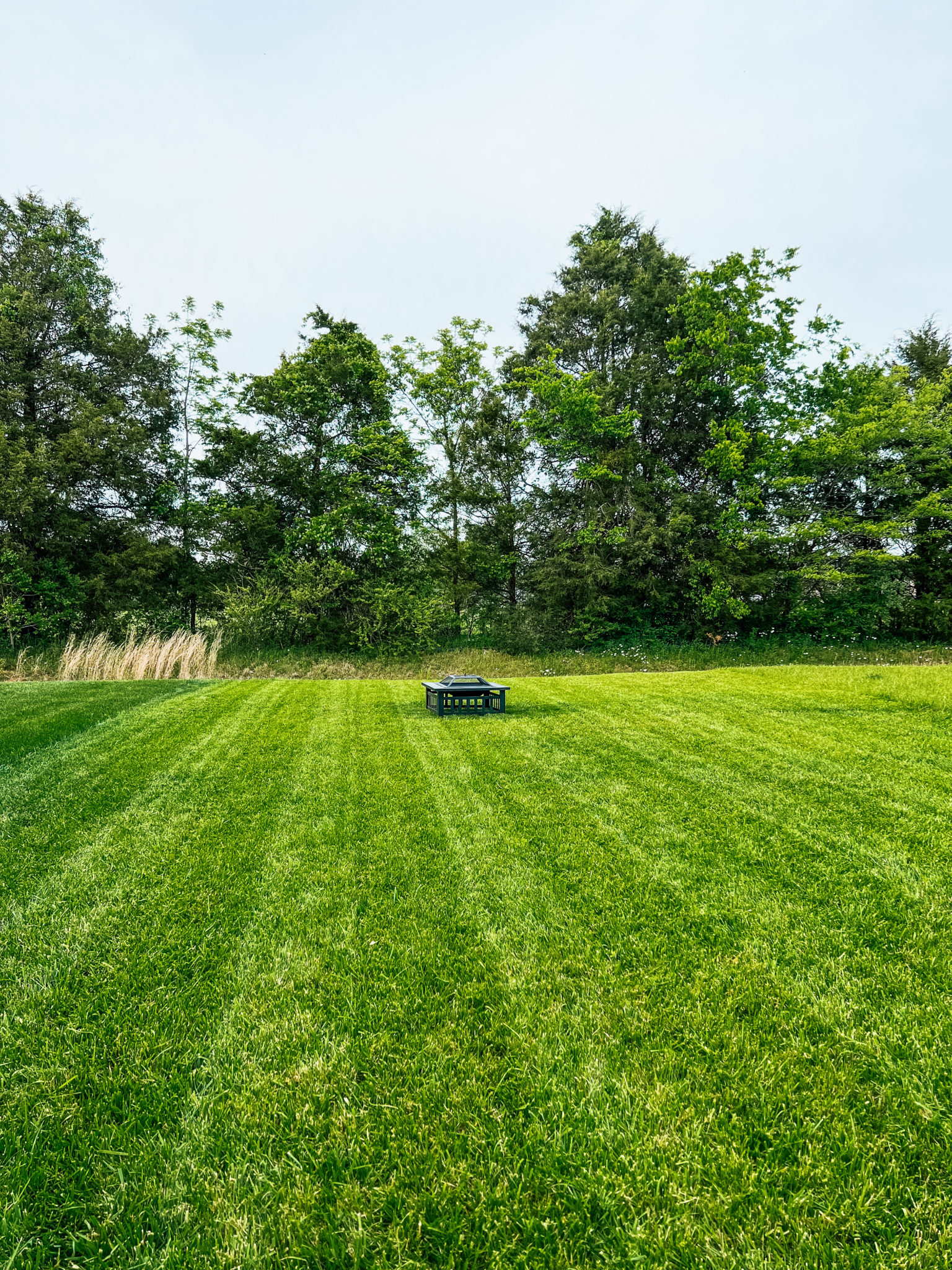 Backyard Ready for Summer with Toro 60V Max Stripe Mower • The Naptime ...