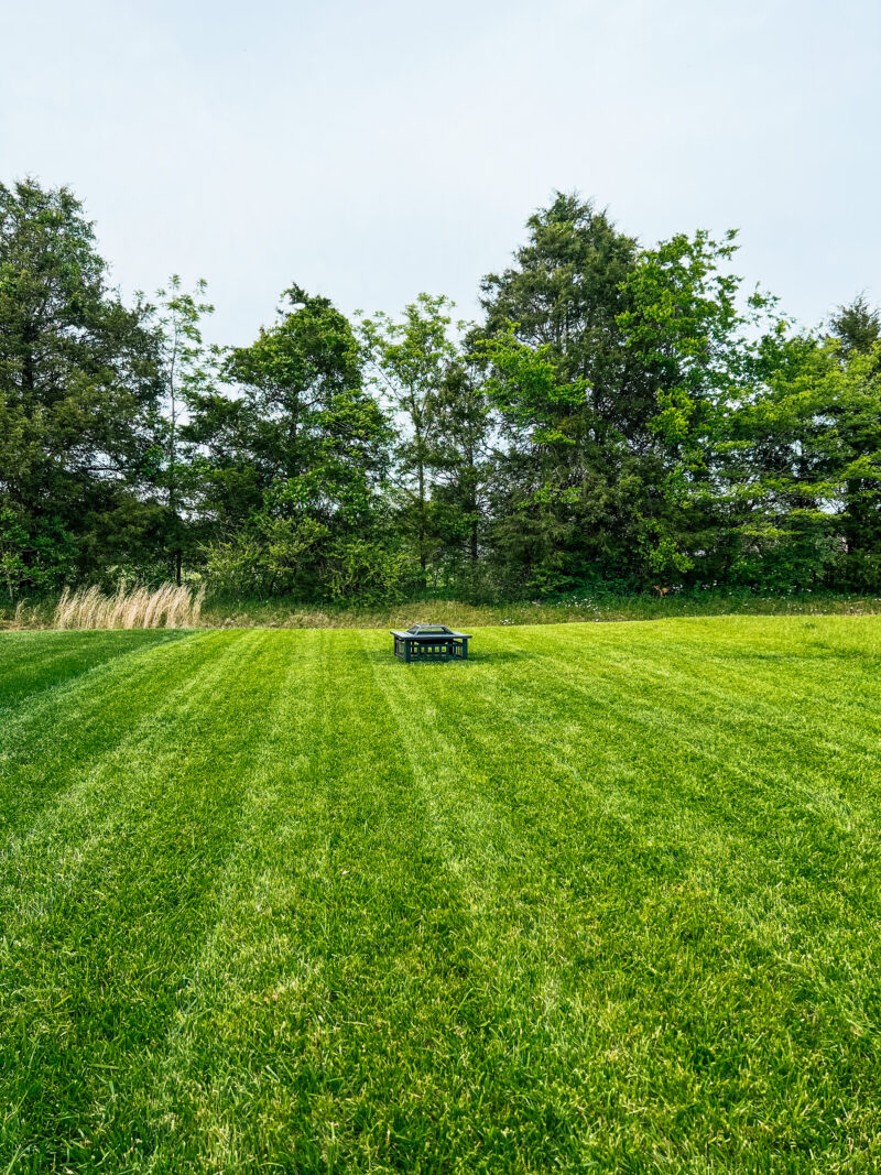 Backyard Ready for Summer with Toro 60V Max Stripe Mower • The Naptime ...